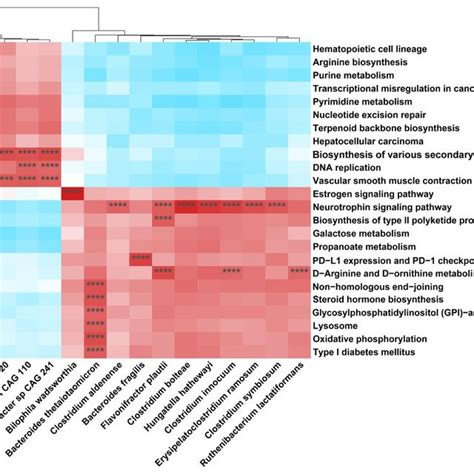 Heatmap Of The Correlations Between Bacterial Species And Metabolic Download Scientific Diagram
