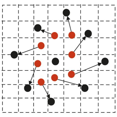 Schematic Representation Of The Study Using Mouse And Human CSF CSF Download Scientific
