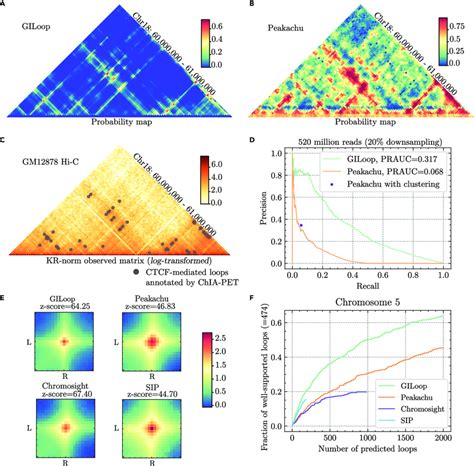 Comparisons Between Giloop And Benchmark Models A The Loop