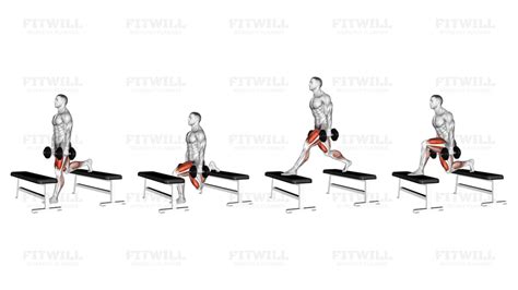 Dumbbell Step Up Split Squat Exercise Guide Techniques Benefits How To Muscles Worked Tips