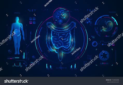 438 Abdomen X Ray Stock Vectors And Vector Art Shutterstock