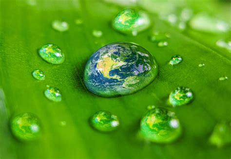 World Environment Day 2023 Beatplasticpollution