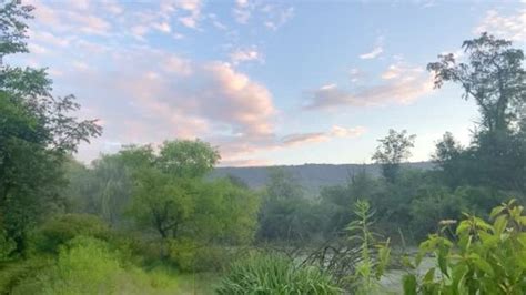 Yesterday Morning At The Lake Tumbex