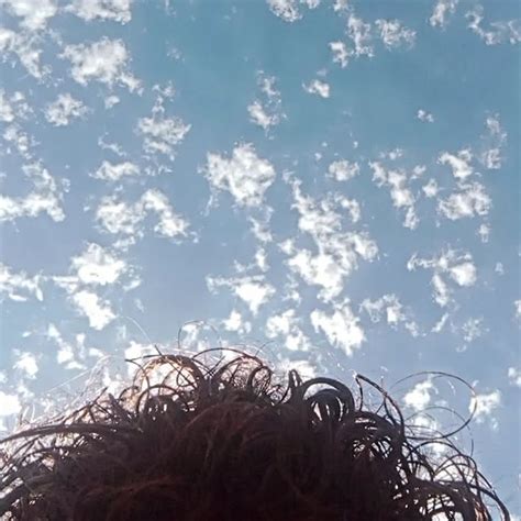 𝖊𝖑𝖞𝖆𝖘🛸 Eihdn • Threads Say More 𝖊𝖑𝖞𝖆𝖘🛸 Eihdn • Threads Say More