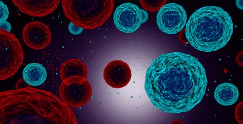 Fossils That Reveal The Origins Of Birds