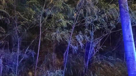 ออกมารับผิดชอบหน่อยครับ เหตุเกิด ประมาณ 14 00 15 00 น เซ็นทรัล ระยอง กันชนหน้าเป็นรอย ขอให้