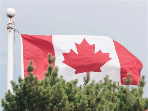 10 Reasons Why You Should Take Cpp Early At Age 60