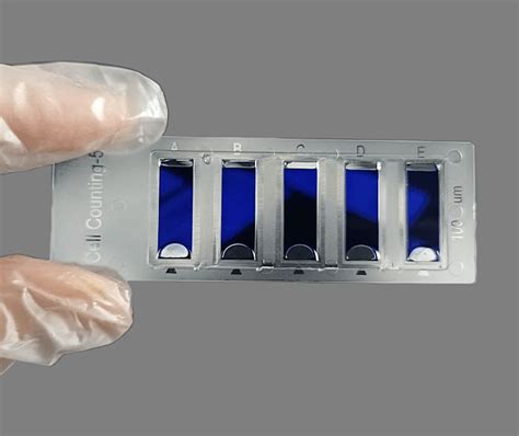 5孔细胞计数板 范德生物耗材
