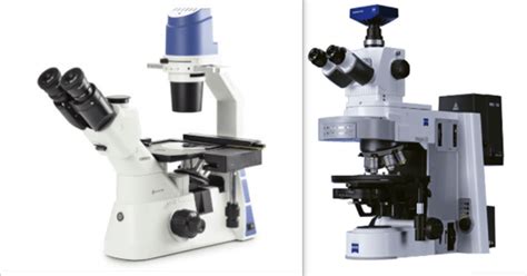 Inverted Microscope Vs Upright Microscope