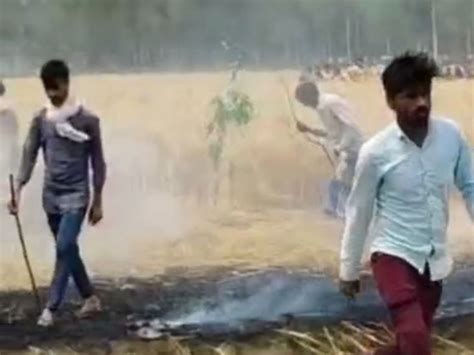 Wheat Field Caught Fire Due To Short Circuit शॉर्ट सर्किट से गेहूं के खेत में लगी आग