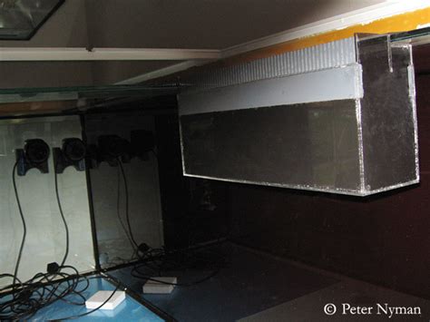 Overflow Box Reef Aquarium DIY Projects Pny Se