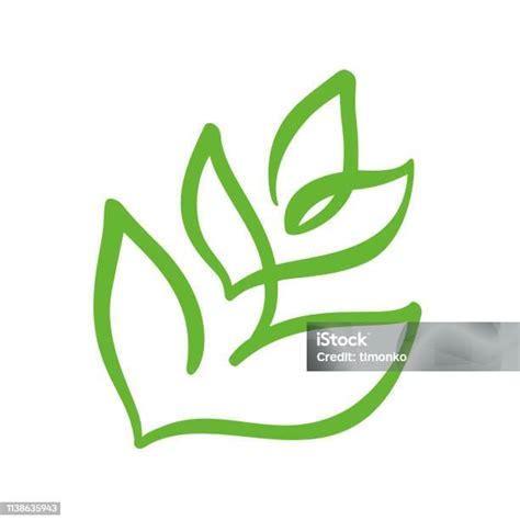녹차의 녹색 잎의 로고 생태 자연 요소 벡터 아이콘 정원입니다 에코 비 건 바이오 서 예 손으로 그린 그림 0명에 대한 스톡 벡터 아트 및 기타 이미지 Istock