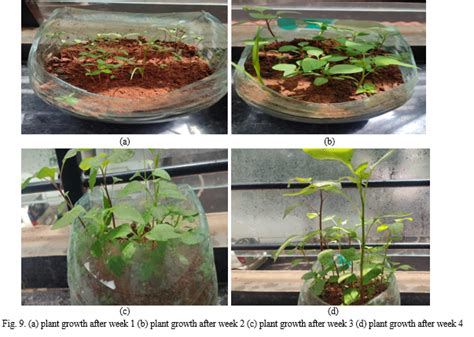 Automated Greenhouse Monitoring Using Control Systems