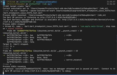Sighup Exception In Code Lldb Only · Issue 1000 · Vadimcncodelldb