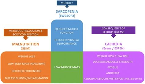 Sarcopenia Definition Diagnosis And Treatment Consensus Is Growing Pmc