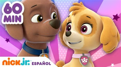 Paw Patrol Pups Transform Into Mermaids W Skye Zuma Marshall Nick Atelier Yuwaciaojp