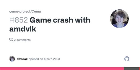 Game Crash With Amdvlk · Issue 852 · Cemu Projectcemu · Github