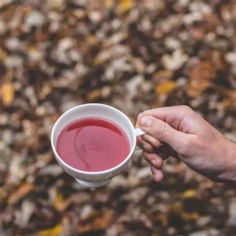 一杯茶 静我心 生活 光阴 记忆