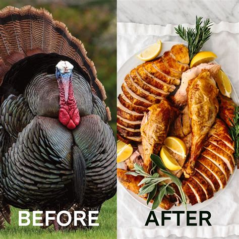 Mezmo On Linkedin Telemetrydata Happythanksgiving