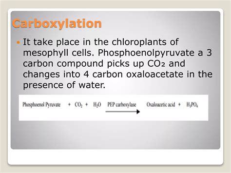 C3cycle And C4 Cycle Pptx