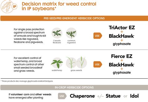 Soybeans Pre Emergent In Crop Herbicides Nufarm Canada
