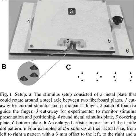 Pdf Tactile Perceptual Learning Learning Curves And Transfer To The