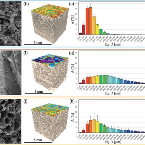Overview Of The Cross‐sectional Morphology Of The Mfcs Mfca And