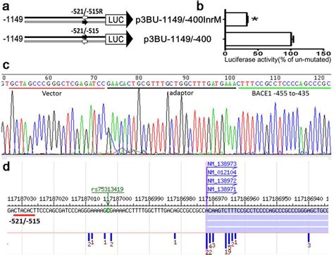 Tce2 Is Not An Initiator Of Bace1 Gene A Schematic Diagram Of