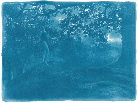 Papers To Use For Cyanotypes
