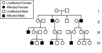 Test Genetics Flashcards Quizlet