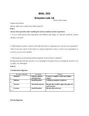 Enzyme Lab Work Sheet OL SG Docx BIOL 202 Enzyme Lab 14 Name Sarah Glaser Babe Work Sheet