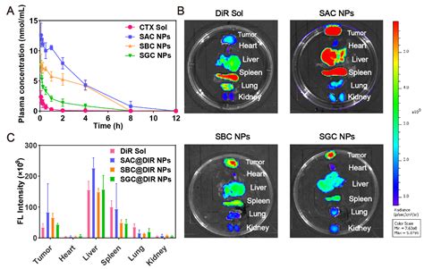 Reduction Responsive Stearyl Alcohol Cabazitaxel Prodrug Nanoassemblies For Cancer Chemotherapy