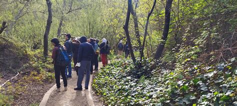 Summer Nature Walk And Bird Count Glen Canyon Park
