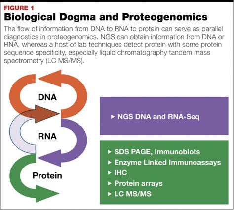 Developing Technologies Support Proteogenomics May 2018 MedicalLab Management Magazine