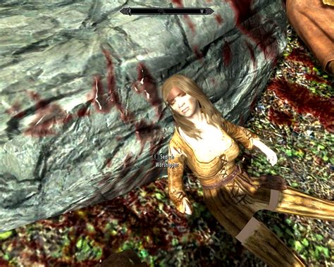 Small Problem Skyrim Technical Support Loverslab