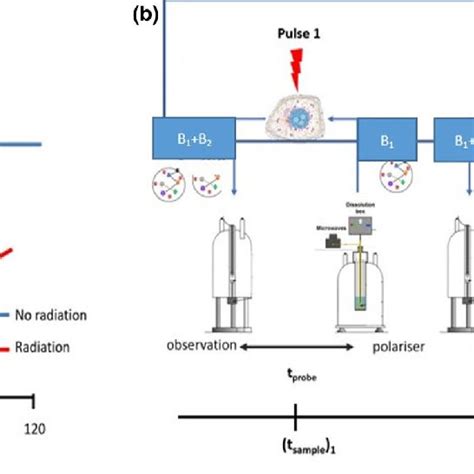 A Biomarker Detection Strategy Using Molecular Imaging Based On Download Scientific Diagram
