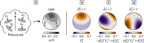 The C‐axis Orientation Distribution Function ψn Of A Polycrystal Download Scientific Diagram