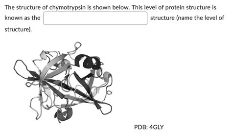 The Structure Of Chymotrypsin Is Shown Below This Level Of Protein