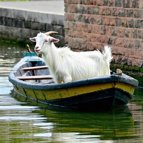 Create Stunning Ai Generated Rule 34 Art With Pixeldojo