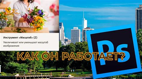 Инструменты в Фотошоп Photoshop Масштаб Youtube