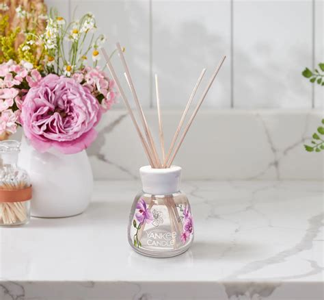 Under The Desert Sun Springsummer 2024 Yankee Candle