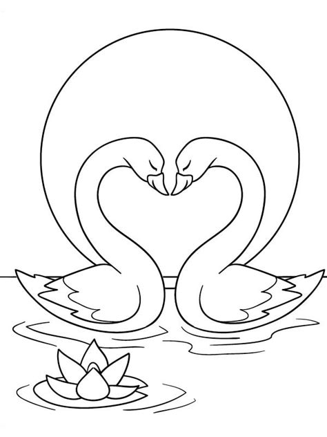 Planse De Colorat Cu Lebădă Desene De Colorat