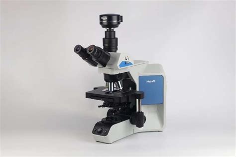 显微镜用于变形杆菌观察 应用百科