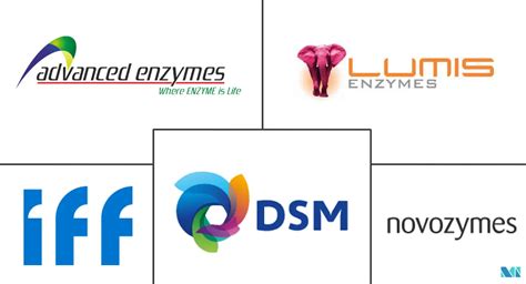 인도 식품 효소 시장 회사 제조업체 공급업체 규모 점유율 및 산업 분석 인도 식품 효소 시장 회사 제조업체 공급업체 규모 점유율 및 산업 분석