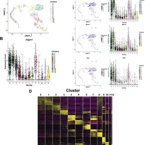 Eklf Klf1 Expressing Clusters In F4 80 Fetal Liver Macrophages Violin Download Scientific