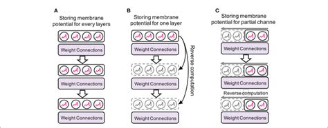 Figure Memory Eecient Backpropagation Compared To Baseline We Do Not
