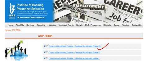 Ibps Rrb Po Interview Call Letter 2023 Out Download Link