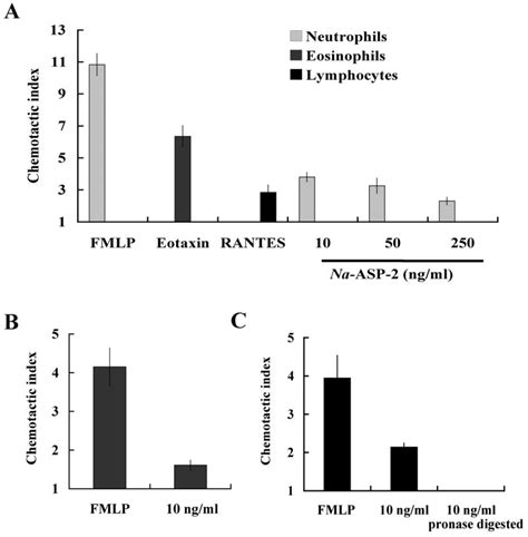 Necator Americanus The Na Asp 2 Protein Secreted By The Infective Larvae Induces Neutrophil