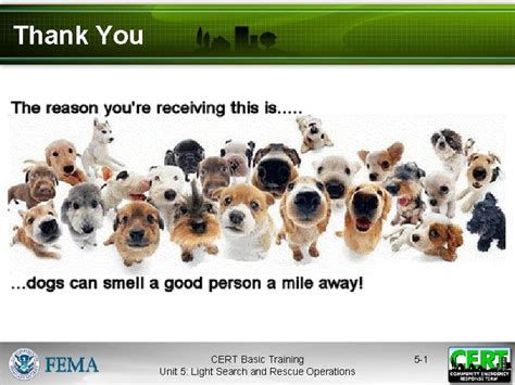 Light Search And Rescue Operations Cert Basic Training