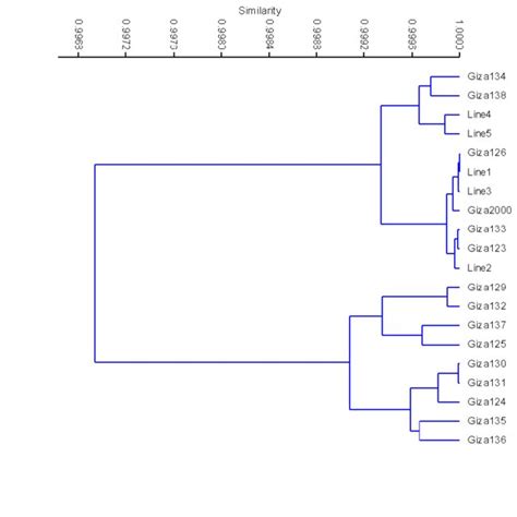 Cluster Analysis Of Twenty Barley Genotypes Evaluated At Three
